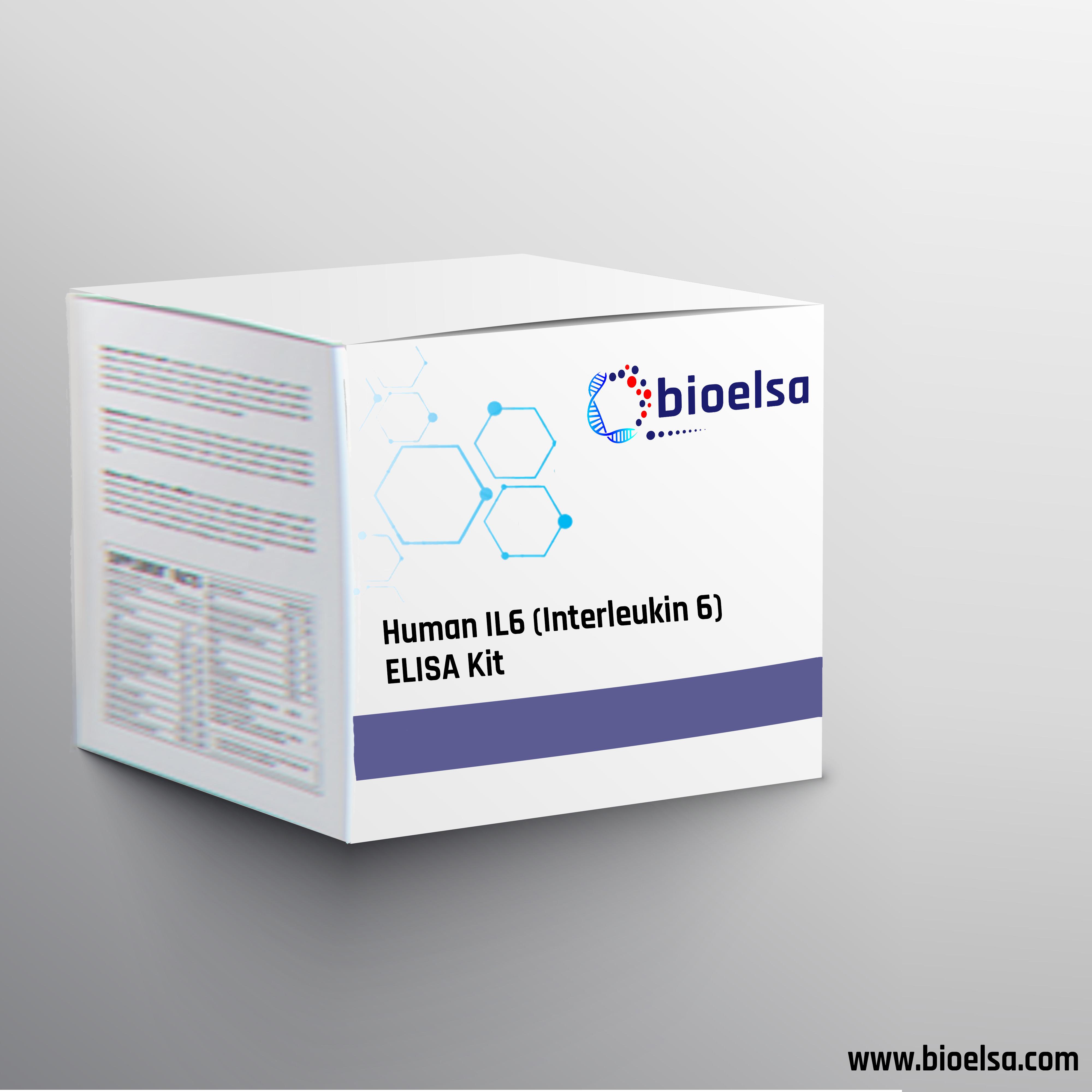 Bioelsa - ELISA Kit Supplier in USA, CANADA | Antibodies supplier in ...